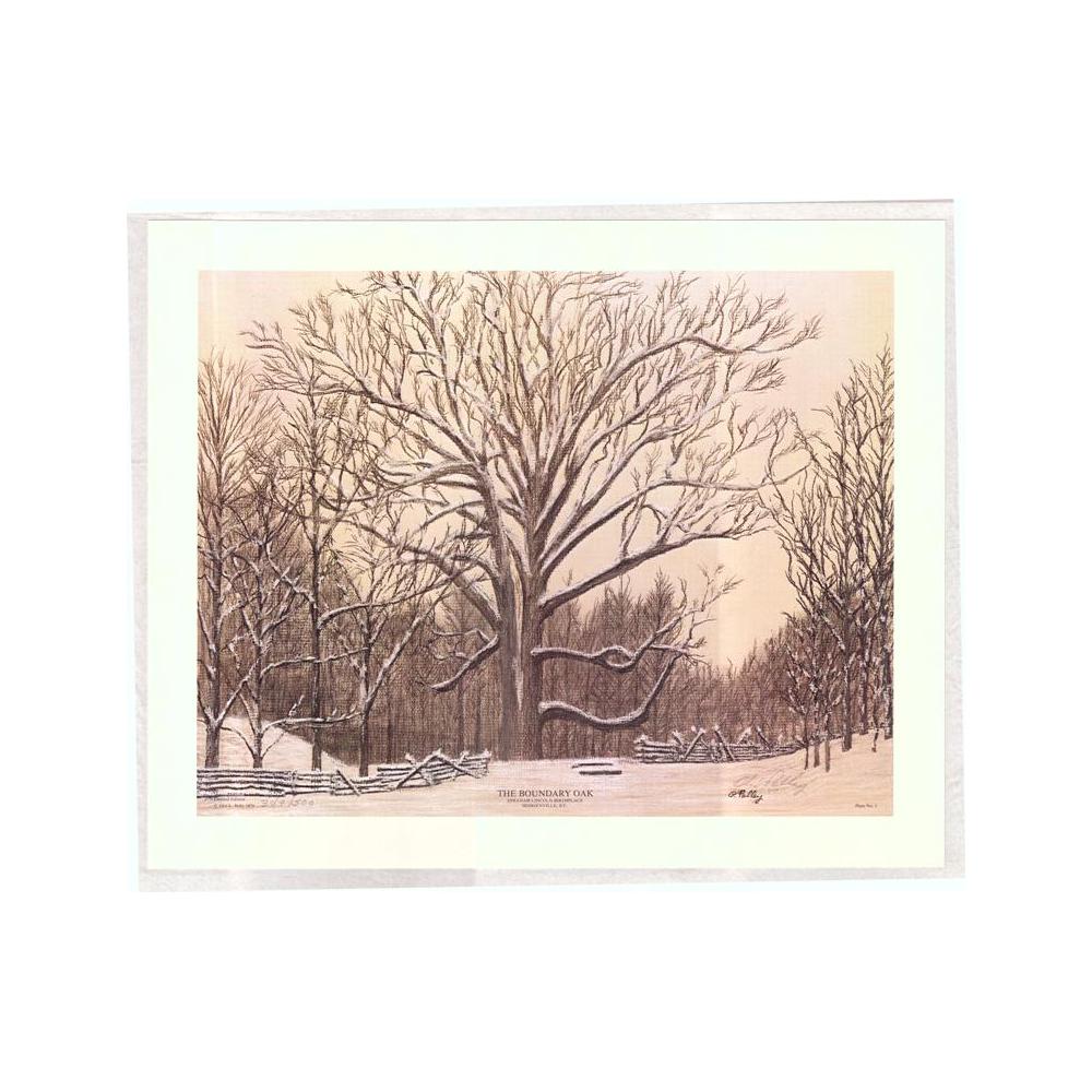 The Boundary Oak | The Lincoln Financial Foundation Collection